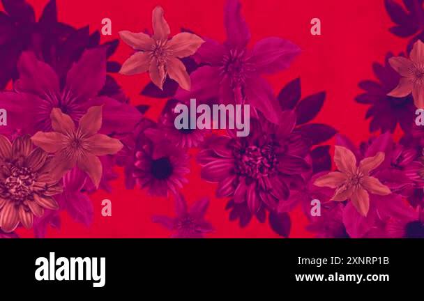 Detailed layers Stock Videos & Footage - HD and 4K Video Clips - Alamy