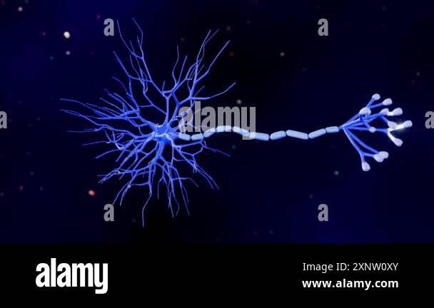 Neuron cell isolated brain Stock Videos & Footage - HD and 4K Video ...