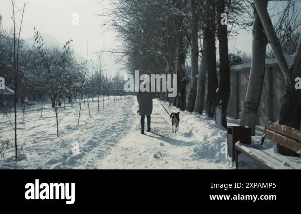 Silent protector Stock Videos & Footage - HD and 4K Video Clips - Alamy