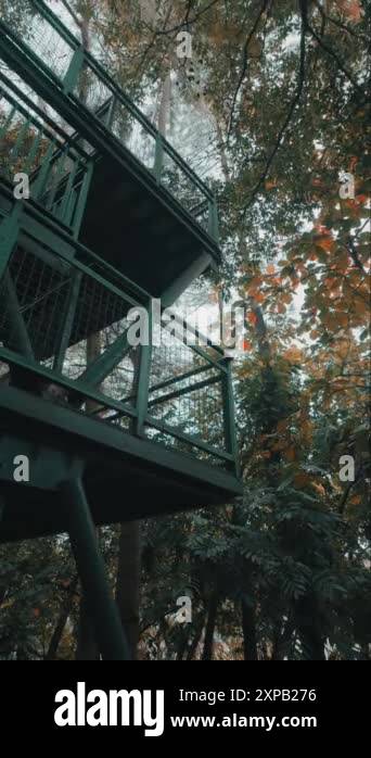 Green observation tower Stock Videos & Footage - HD and 4K Video Clips ...