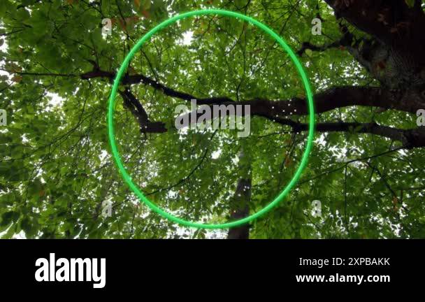 Circle of greenery Stock Videos & Footage - HD and 4K Video Clips - Alamy