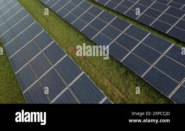 photovoltaic power plant in a rapeseed field. chemical technology crops ...