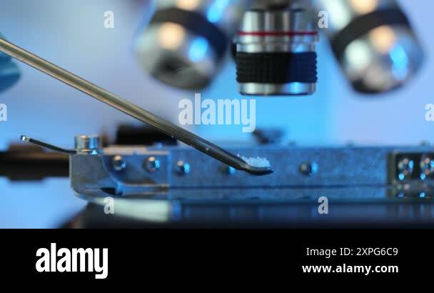 Scientist researcher examines white sugar or salt under microscope in ...