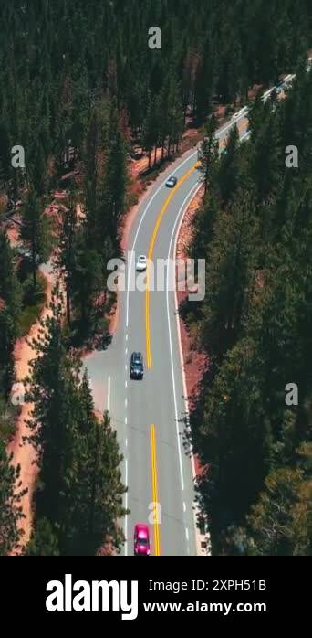 Detached tree Stock Videos & Footage - HD and 4K Video Clips - Alamy
