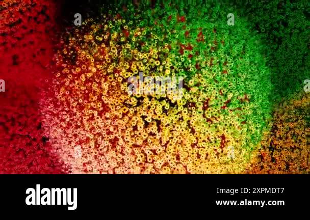 Prominently Showcases Stock Videos Footage Hd And 4k Video Clips