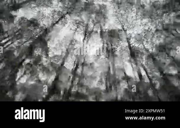 Cinematic upward shot through a foggy, wet window of a moving vehicle ...