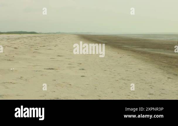 Shallow structure Stock Videos & Footage - HD and 4K Video Clips - Alamy