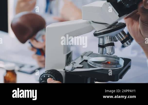 Anatomy microscope Stock Videos & Footage - HD and 4K Video Clips - Alamy