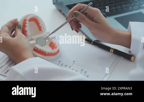 Dentist doctor examining teeth model diagnosing patient dental hygiene ...
