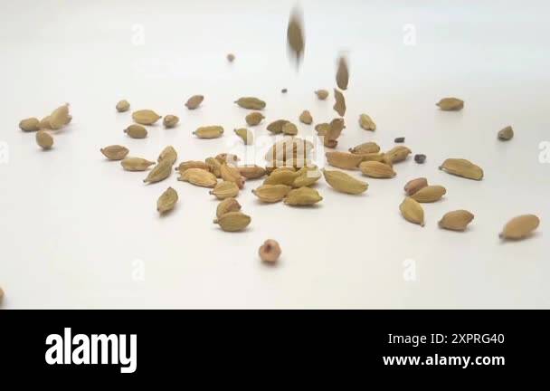 Green cardamom pods falling on clean white background in the center ...