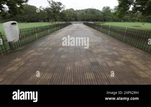 Wet stone path Stock Videos & Footage - HD and 4K Video Clips - Alamy