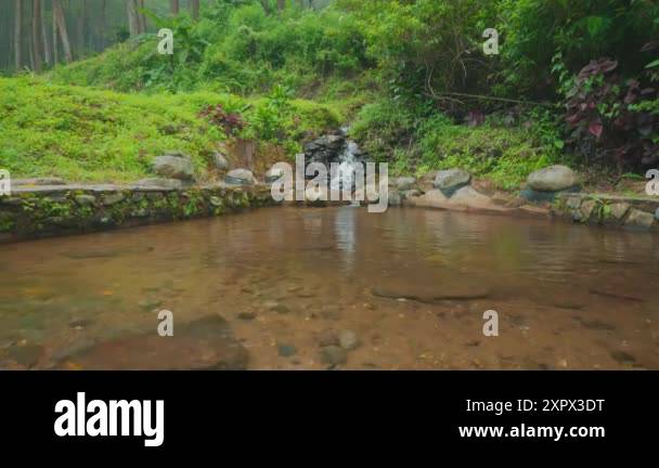 A serene natural hot spring surrounded by lush greenery and small rocks ...