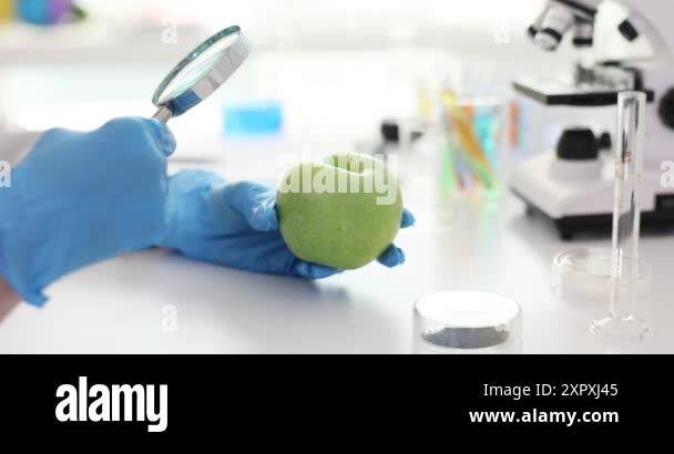 Study of apples Stock Videos & Footage - HD and 4K Video Clips - Alamy