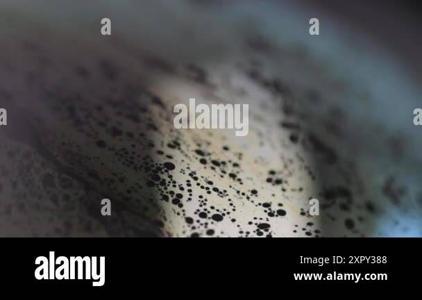 Blur foam texture. Ink flow. Defocused black yellow color fizzy oil wet ...
