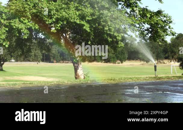 Faint green Stock Videos & Footage - HD and 4K Video Clips - Alamy