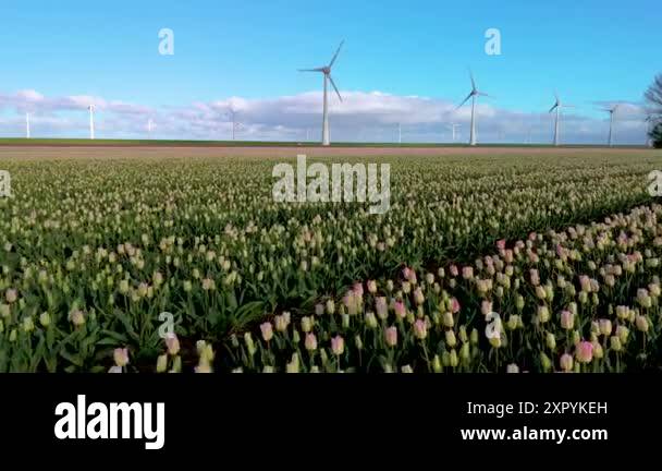 Rising wind turbine towering Stock Videos & Footage - HD and 4K Video ...