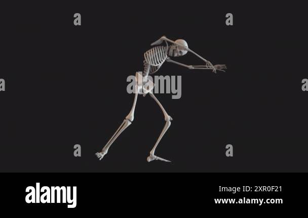 A 3D animated Skeleton character in a looping zombie walk sequence with ...