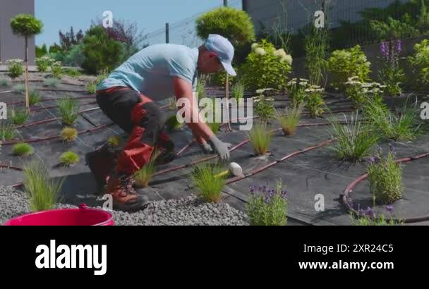 Proper planting techniques Stock Videos & Footage - HD and 4K Video ...