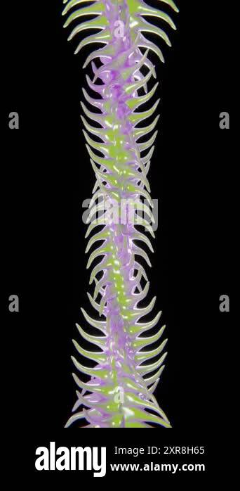 Abstract 3d vertical social media story backgrounds liquid vibrant ...