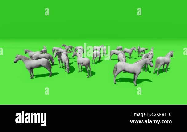 horse green screen animation Stock Video Footage - Alamy