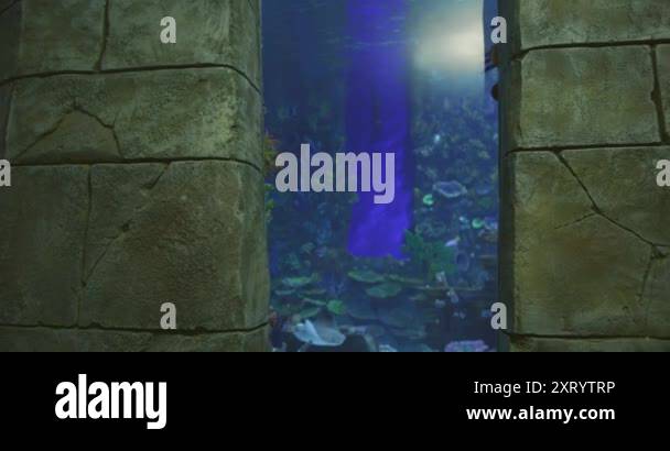 Underwater gate Stock Videos & Footage - HD and 4K Video Clips - Alamy