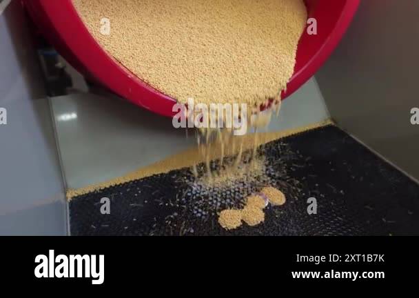 Red hopper Stock Videos & Footage - HD and 4K Video Clips - Alamy