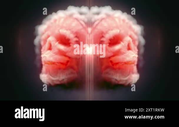 Fascinating symmetrical digital animation of two human skulls formed by ...