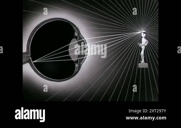 An animated explanation of how the eye sees compared to a camera in ...