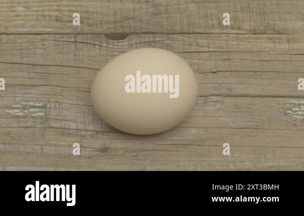 Single smooth white egg Stock Videos & Footage - HD and 4K Video Clips ...