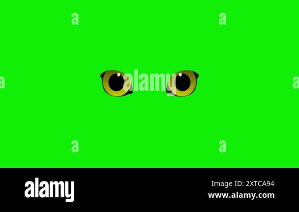 Cat eyes blinking eyes blink looking font side view 4k animation green ...