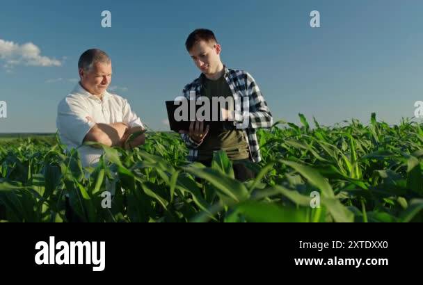 In a cornfield, two farmers from different generations collaborate ...