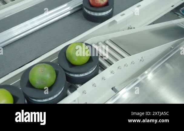 Quality Control of product fruits in factory. Fully automated ...