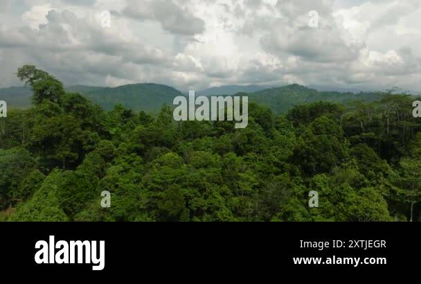 Scenic landscape: Mountain slopes covered with rainforest and jungle ...