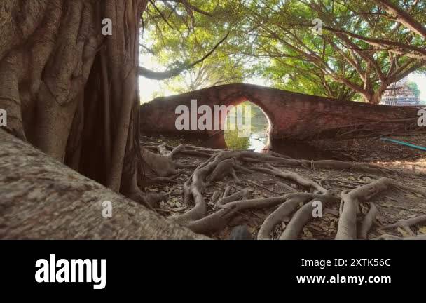 Gem bridge Stock Videos & Footage - HD and 4K Video Clips - Alamy