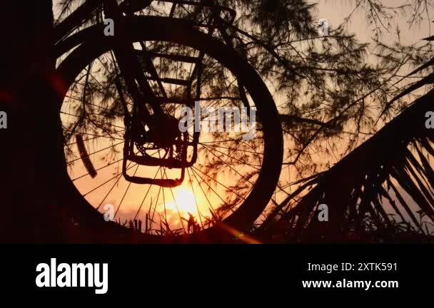 Lifestyle cycle Stock Videos & Footage - HD and 4K Video Clips - Alamy