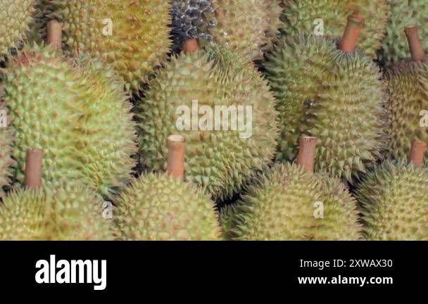 Spiky skin texture Stock Videos & Footage - HD and 4K Video Clips - Alamy