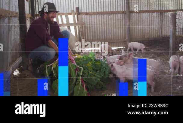 Feeding pigs, farmer with leafy greens, global agriculture data ...