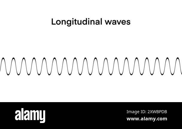 Amplitude, Period, Frequency, and Variable Wavelengths, Transverse wave ...