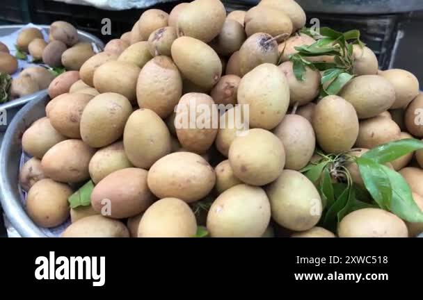 Sam po che Stock Videos & Footage - HD and 4K Video Clips - Alamy