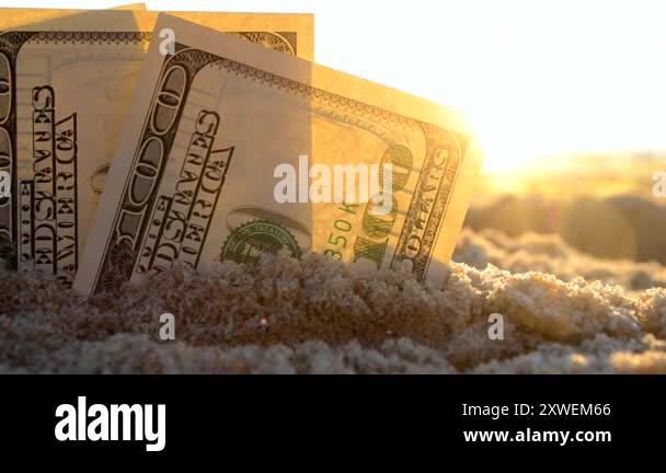 Three dollar bills are buried in sand on sandy beach near sea at sunset ...