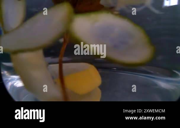 Structures of seed pods Stock Videos & Footage - HD and 4K Video Clips ...