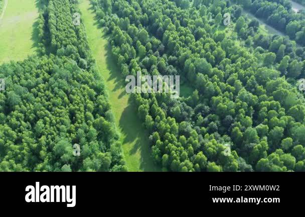 European fields meadow aerial Stock Videos & Footage - HD and 4K Video ...