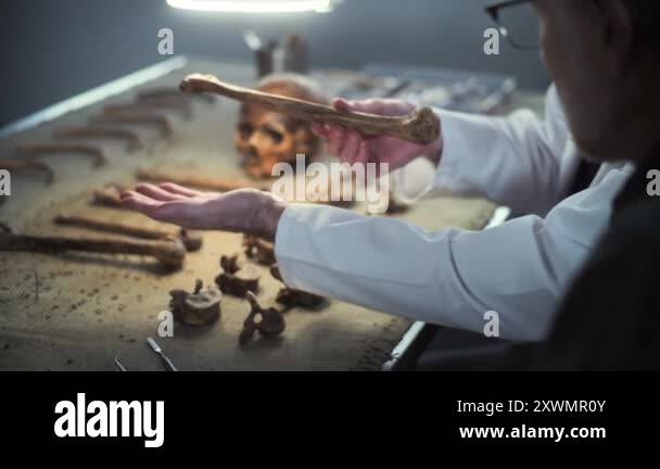 Archaeologist shows size of ancient man bone to colleague and talks ...
