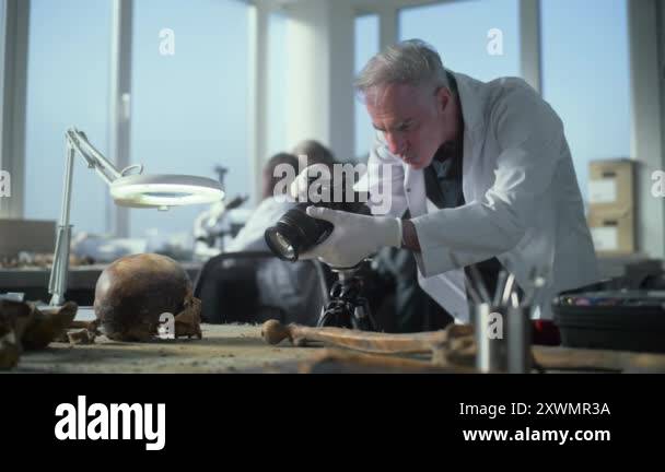 Senior archaeologist takes photo of fossil remains of prehistoric human ...