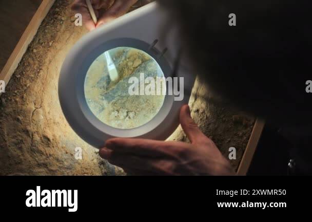Male archaeologist bone Stock Videos & Footage - HD and 4K Video Clips ...