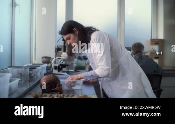 Young scientist works with fossil remains in archaeological laboratory. Female archaeologist in ...