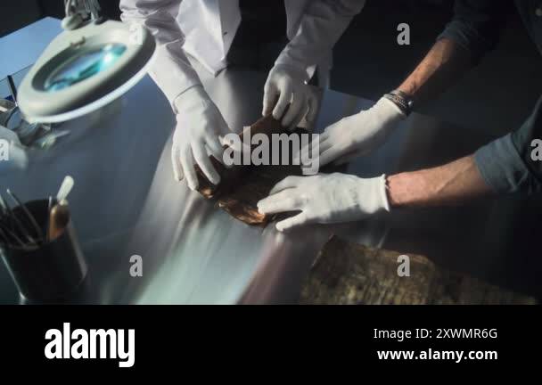 Two archaeologists in gloves carefully unroll ancient Egyptian papyrus ...