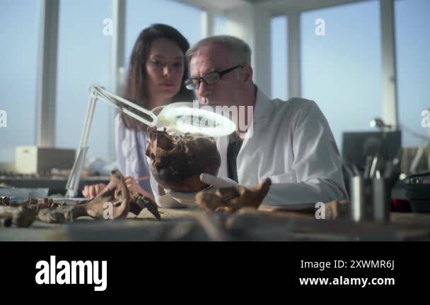 Scientist skull lab Stock Videos & Footage - HD and 4K Video Clips - Alamy