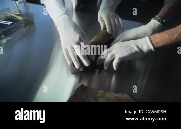 Two archaeologists in gloves carefully roll out ancient Egyptian ...