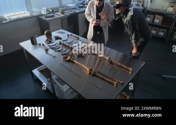Modern archaeological lab: High angle of two archaeologists in VR ...